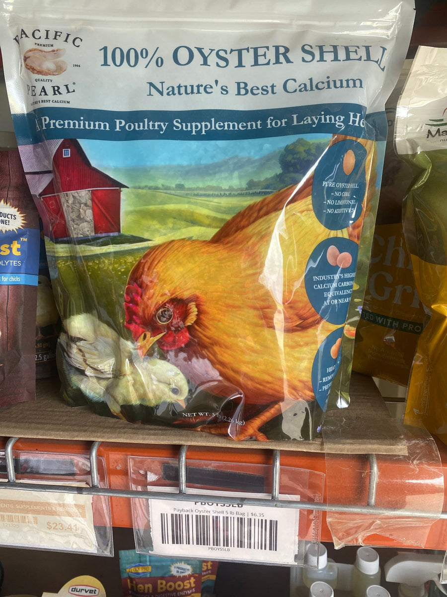 Payback Oyster Shell 5 lb Bag – Jenks Hatchery Inc.